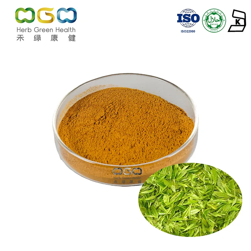 Instant Hojicha Tea Powder Manufacturer - Herb Green Health