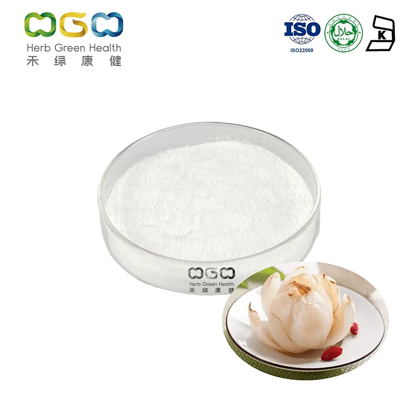 Lily Bulb Extract Manufacturer - Herb Green Health