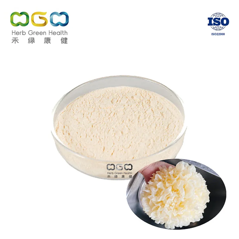 Tremella Extract Manufacturer - Herb Green Health