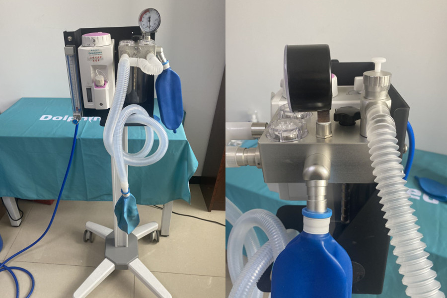 How to set up anesthesia machine veterinary？ - Shandong Dolphinmed ...
