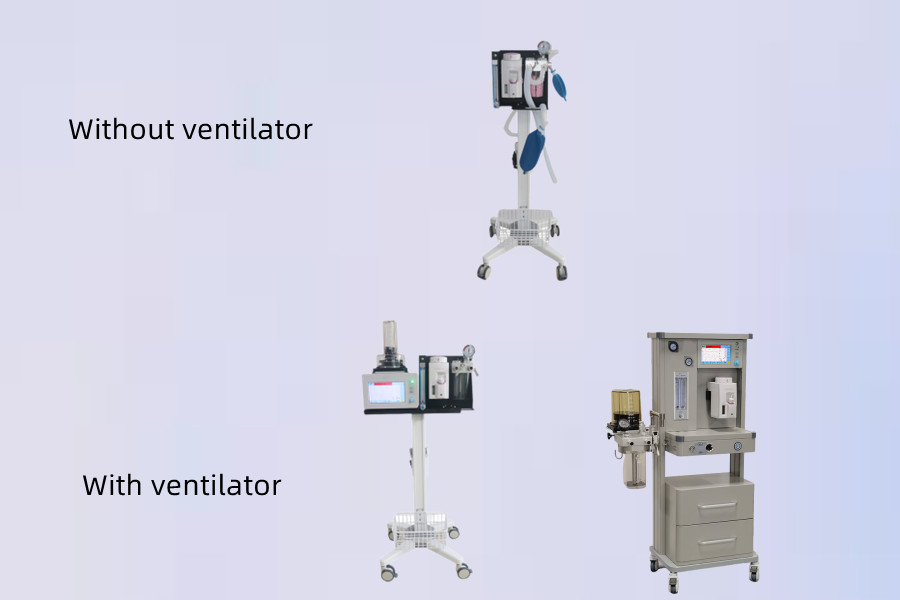 How to set up anesthesia machine veterinary？ - Shandong Dolphinmed ...
