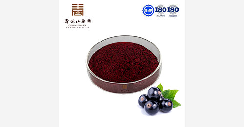 Black Currant SD Powder supplier - Qingyunshan Pharma
