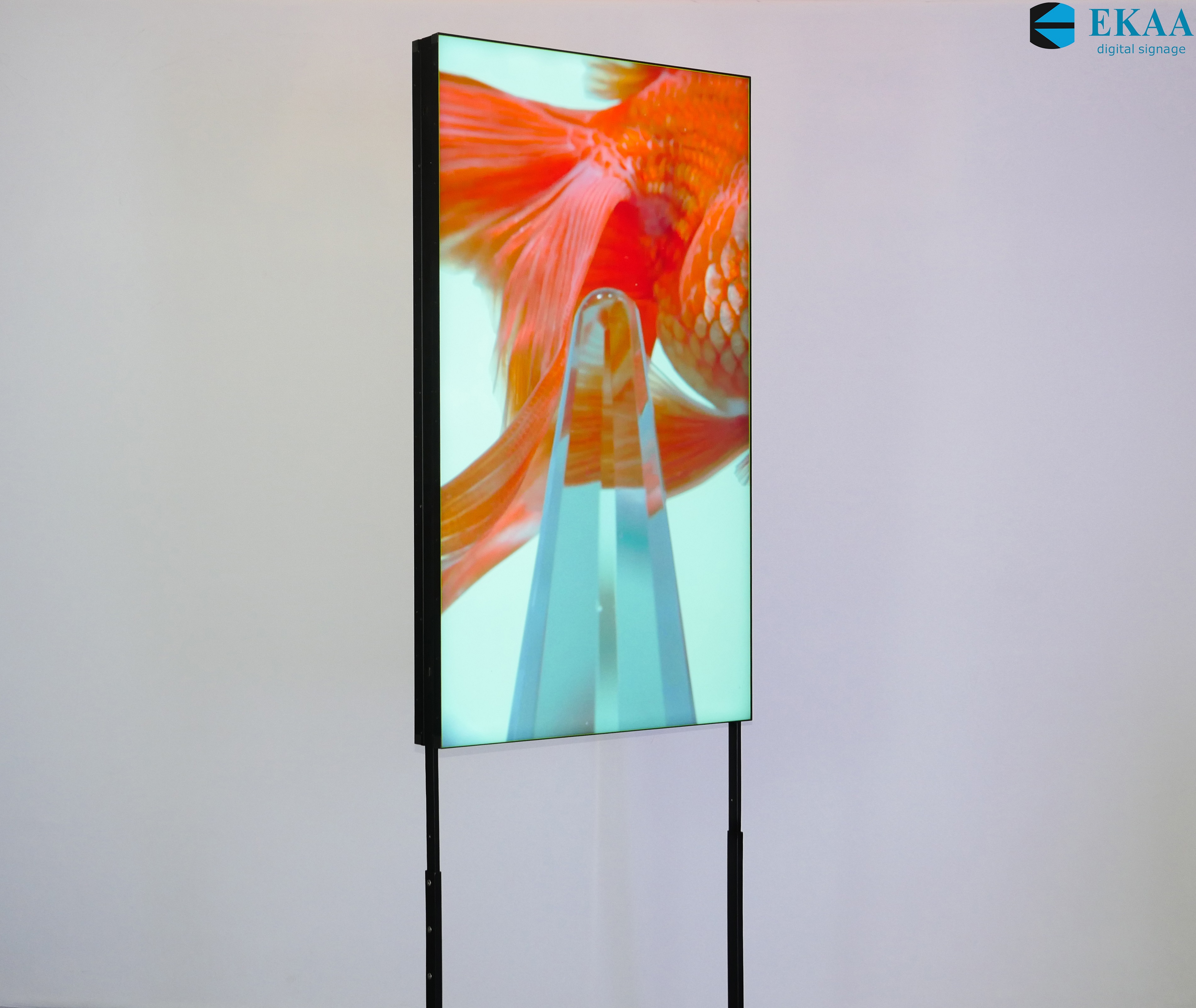 high brightness digital signage Manufacturers | Double Sided Lcd-EKAA