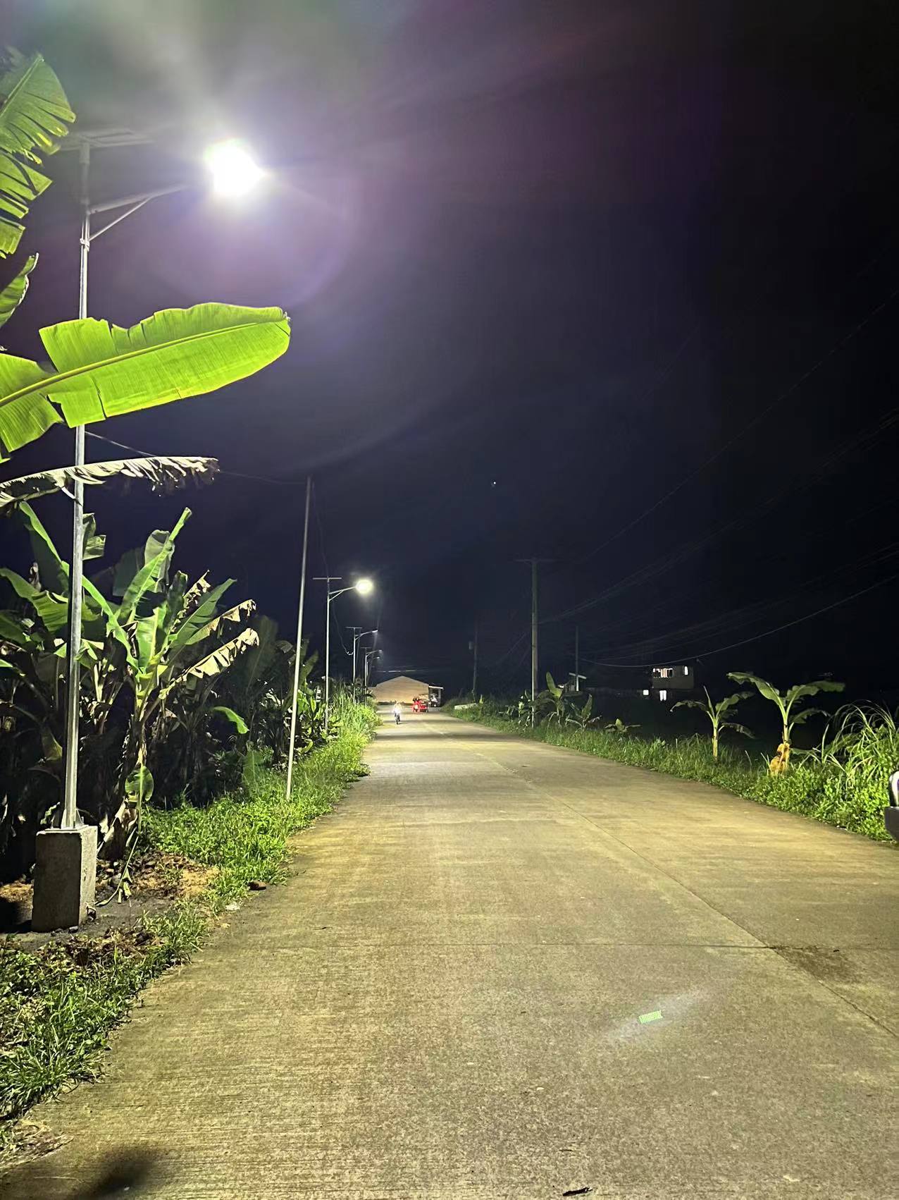 High-quality solar street light antiblackout with professional dialux ...