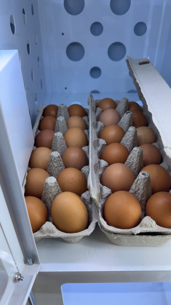 How a Canadian Farm Boosted 24/7 Egg Sales with a Mini Vending Machine