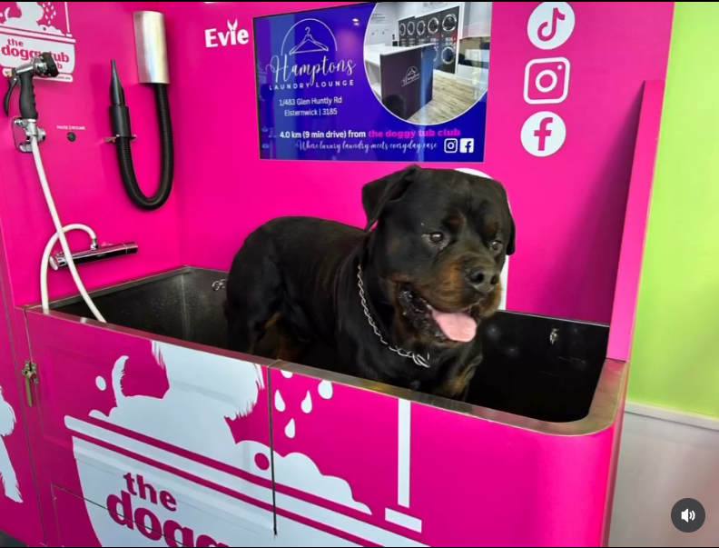 High ROI Self-Service Dog Wash Machine | Start Your Pet Business
