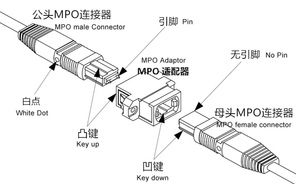 《Optical Fiber Adapter: The Key Cornerstone for High-Speed ...
