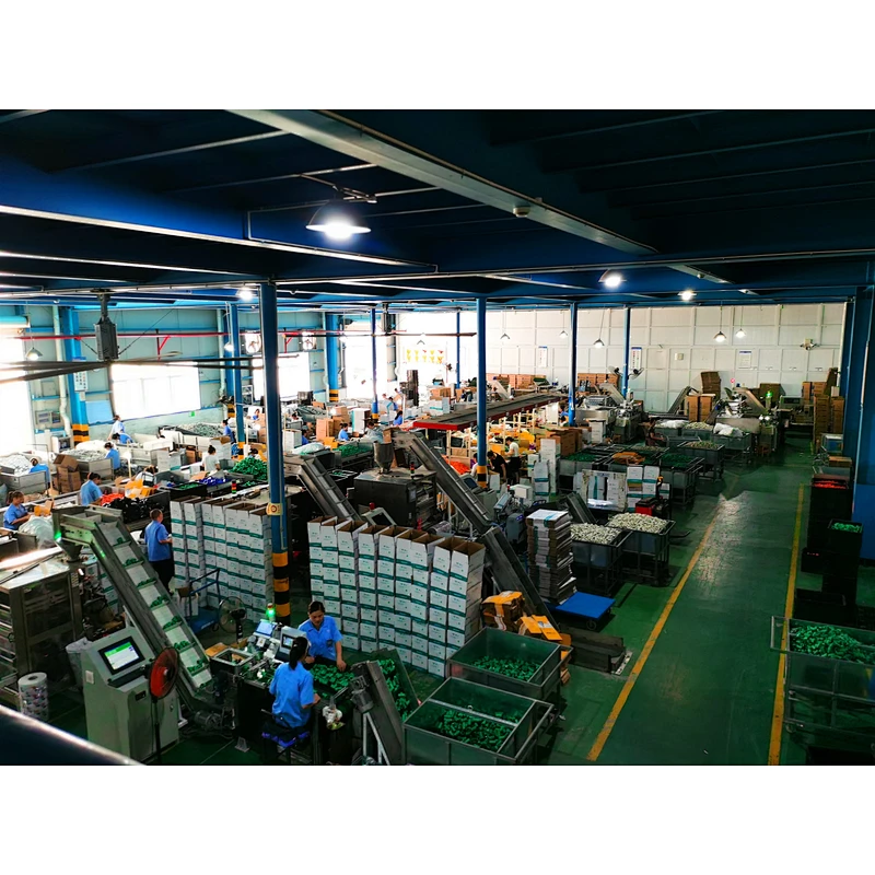 BRASS THREADED FEMALE ELBOW , cpvc brass elbow , cpvc pipe 1 inch price ...