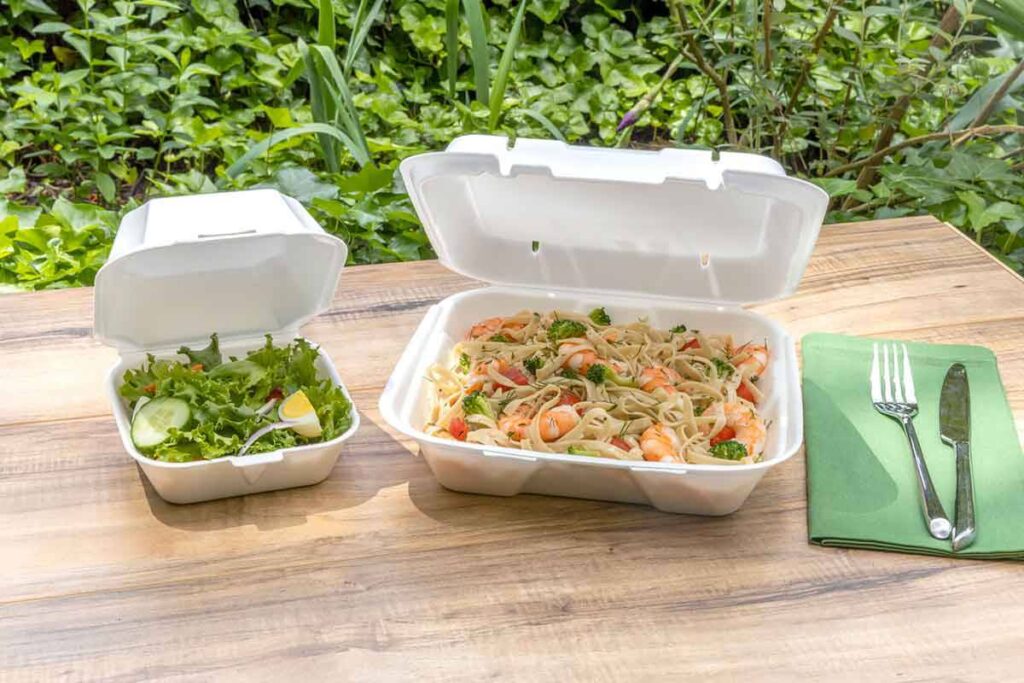 What Are the Advantages and Disadvantages of Foam Lunch Boxes? - yangrui