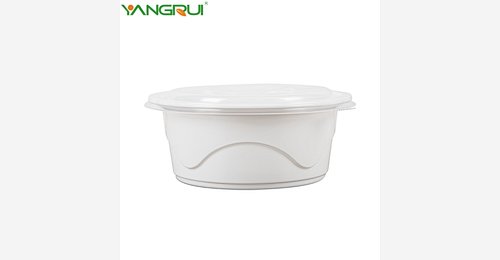 Leading Supplier of Custom & Clear Plastic Take out Containers | YANGRUI