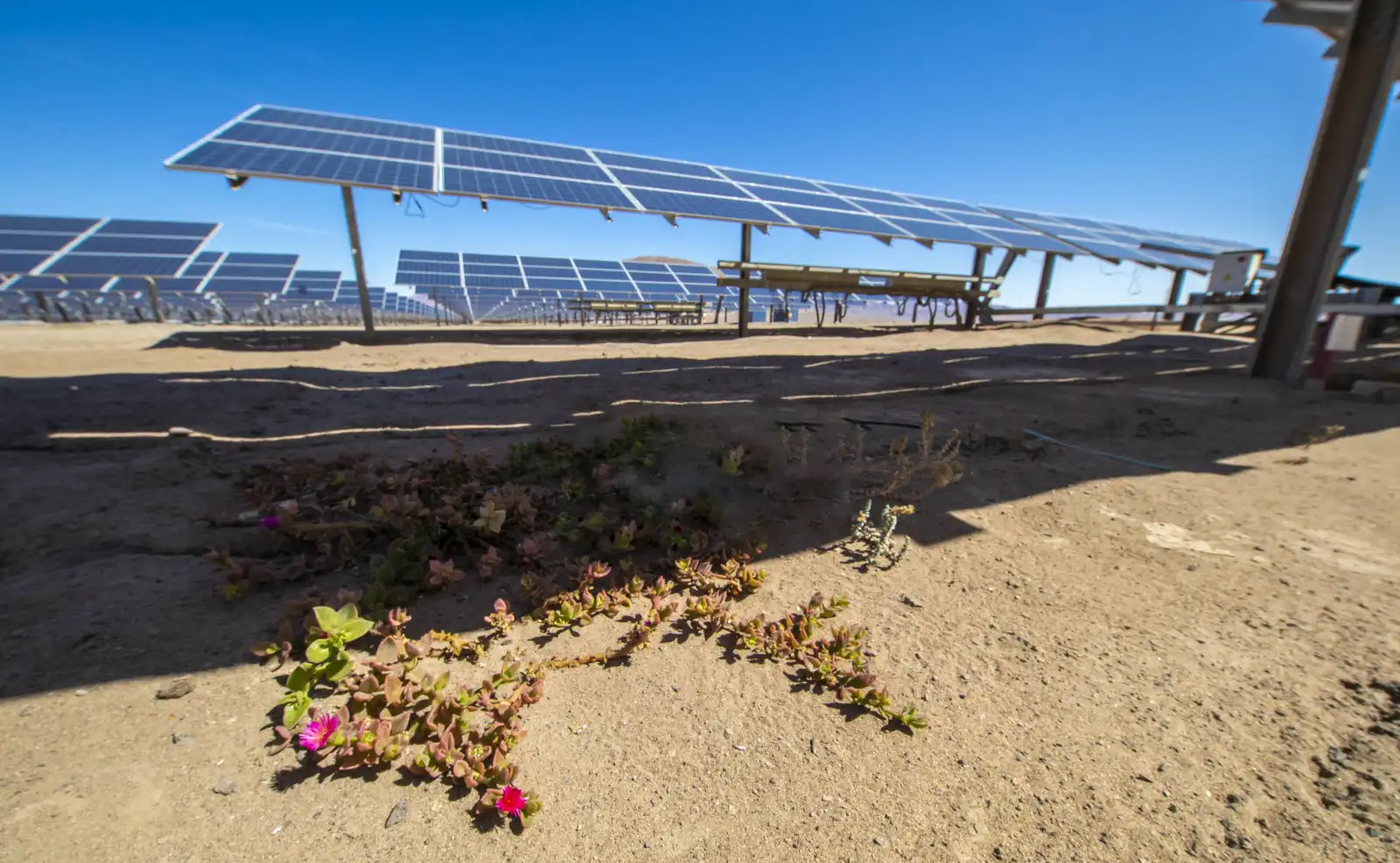 Why Build A Photovoltaic Power Station In The Desert?