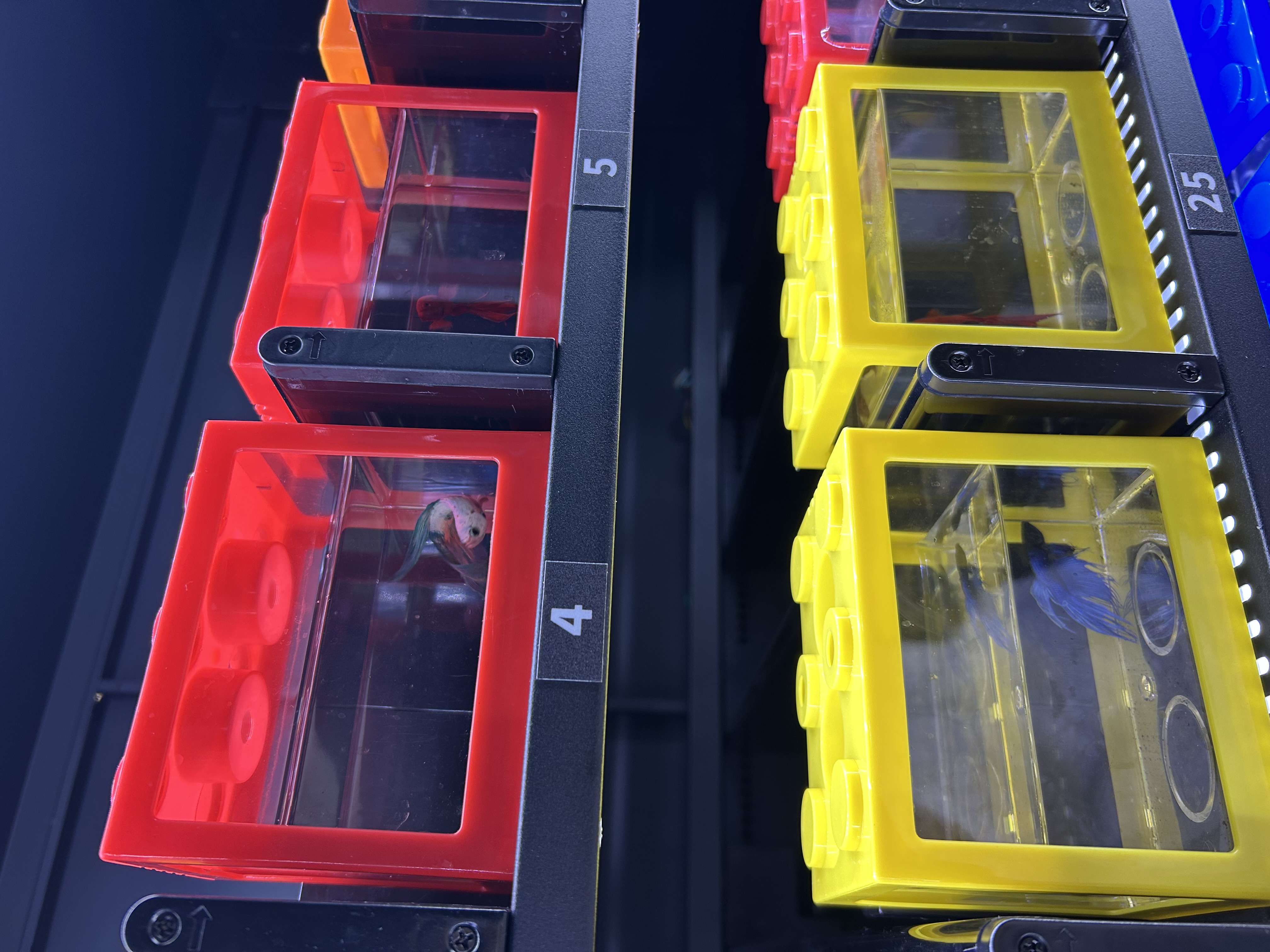 Live Fish Vending Machine at Guangzhou Ocean Aquarium