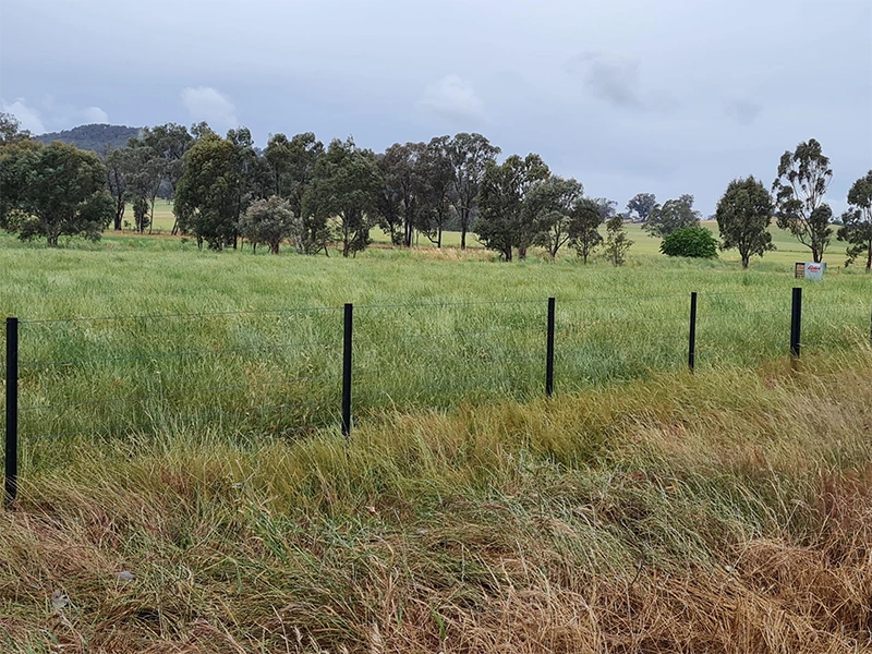 What is a Star Picket? - SINOTOP RURAL