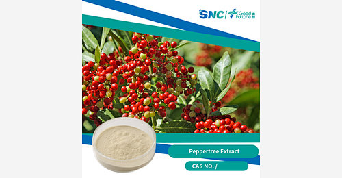 Peppertree Extract - SNC | Good Fortune