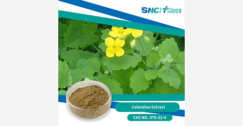 Celandine Extract - SNC | Good Fortune