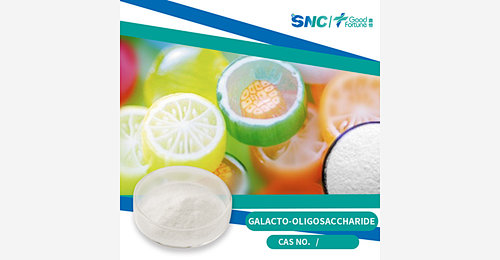 galacto-oligosaccharide - SNC | Good Fortune