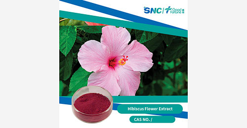 Hibiscus Extract - SNC | Good Fortune