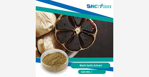 Black Garlic Extract - SNC | Good Fortune