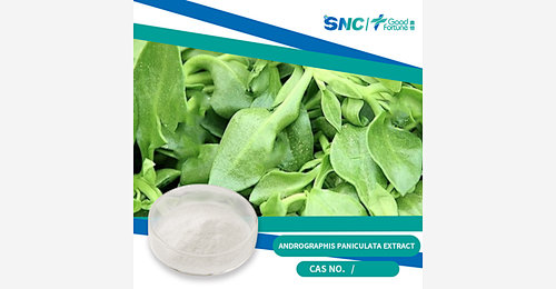 Andrographis Paniculata Extract - SNC | Good Fortune