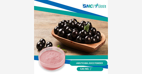 Jabuticaba Juice Powder - SNC | Good Fortune