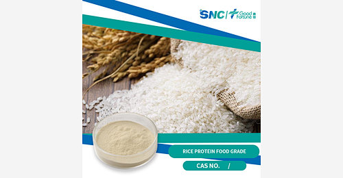 Rice Protein - SNC | Good Fortune