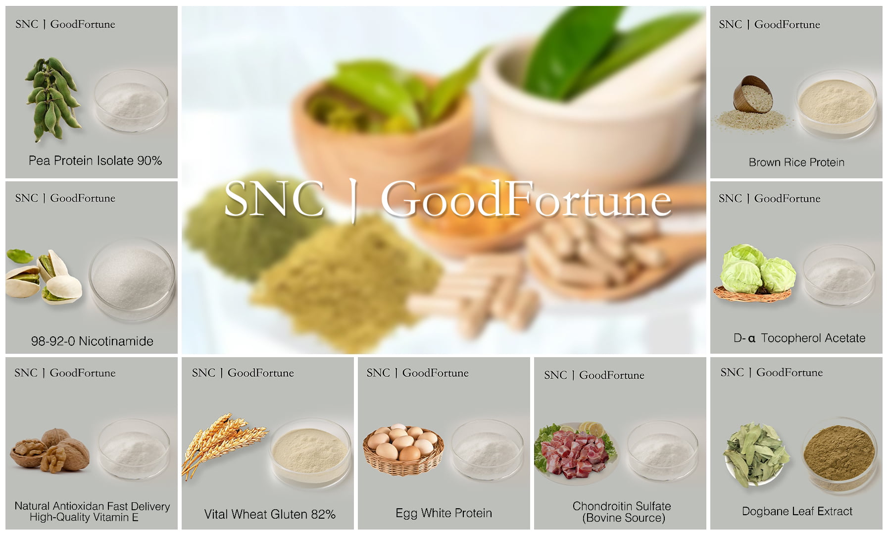 Solutions for Healthy Food Industry - SNC | Good Fortune