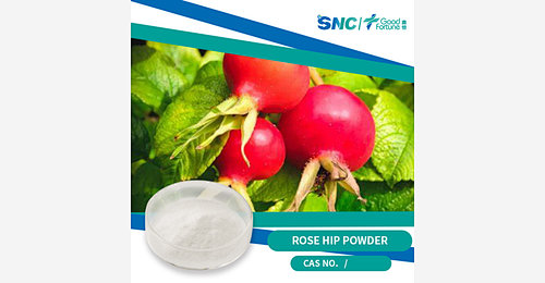 Rose Hip Powder - SNC | Good Fortune