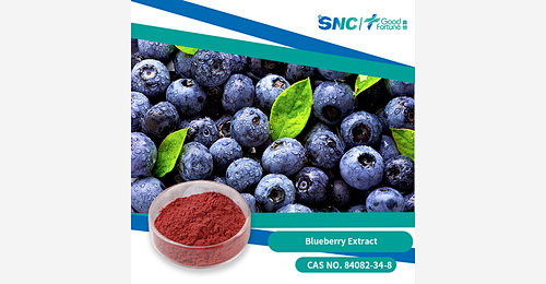 Blueberry Extract - SNC | Good Fortune