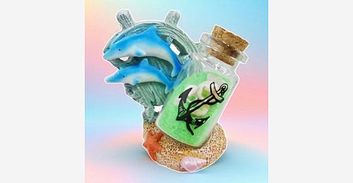 natural dolphin shell wishing bottle 2.5 inches*3