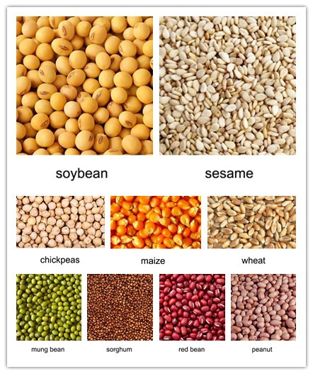 seed grading machine supplier|Beibu Machinery