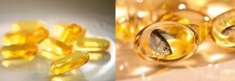 How to choose between algae oil and fish oil - Rui Zelin