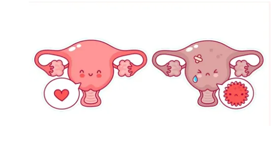 Hidden effect of NMN: Improving premature ovarian failure - Rui Zelin