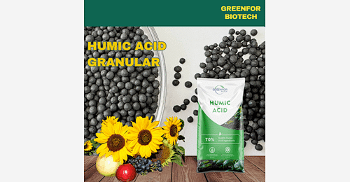 Granular Humic Acid 50% _GREEMFOR