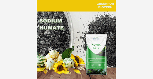 Sodium Humate Fertilizer 50_GREENFOR