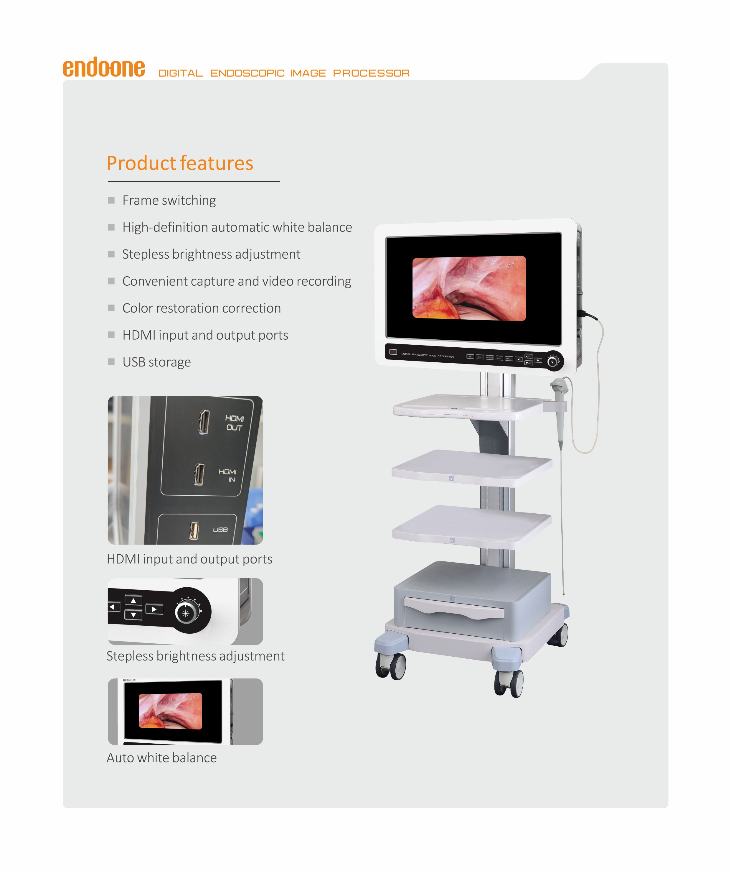 Digital endoscope imaging system manufacturer Softlink Medical