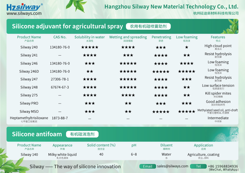 Silway Technology Invites You to Attend the 2025 Shanghai International ...