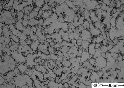 Names and characteristics of common metallographic structures - SY Metals
