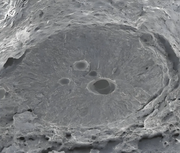 White spot defect inspection method and microscopic morphology ...