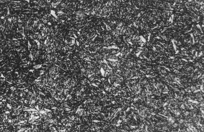 Names and characteristics of common metallographic structures - SY Metals