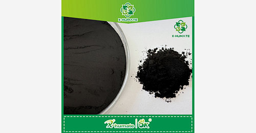 325 Mesh Leonardite Raw Humic Acid Powder | Nature-humate