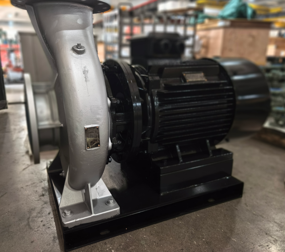 Water pump with electric motor - sanjing