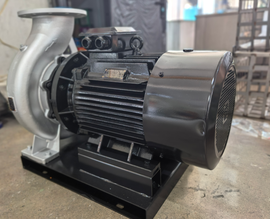 Water pump with electric motor - sanjing