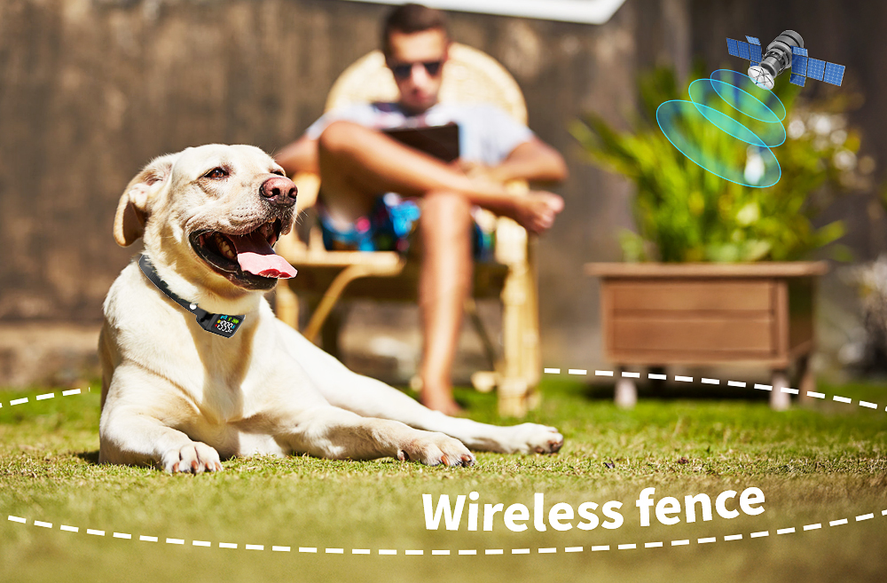 How Do You Install a Invisible Wireless Dog Fence? | TIZE
