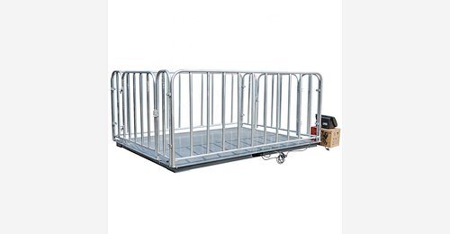 animal scales , live stock scale , cow weighing scales - ningbo saintbond