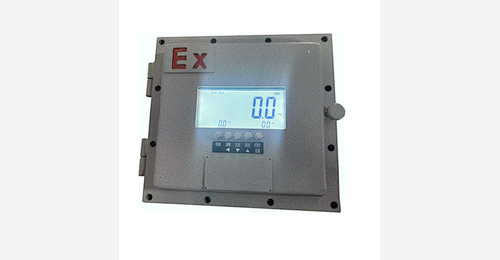 Explosion Proof Indicator