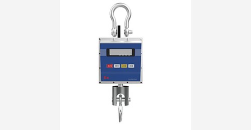 Explosion Proof Electronic Crane , Intrinsically Safe Crane Scales ...