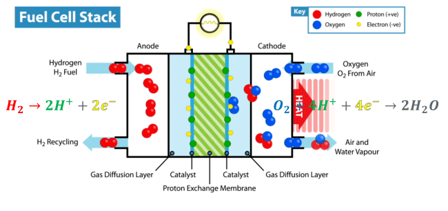 How Hydrogen Fuel Cell Structure Affects Performance？ - HYCIRCLE
