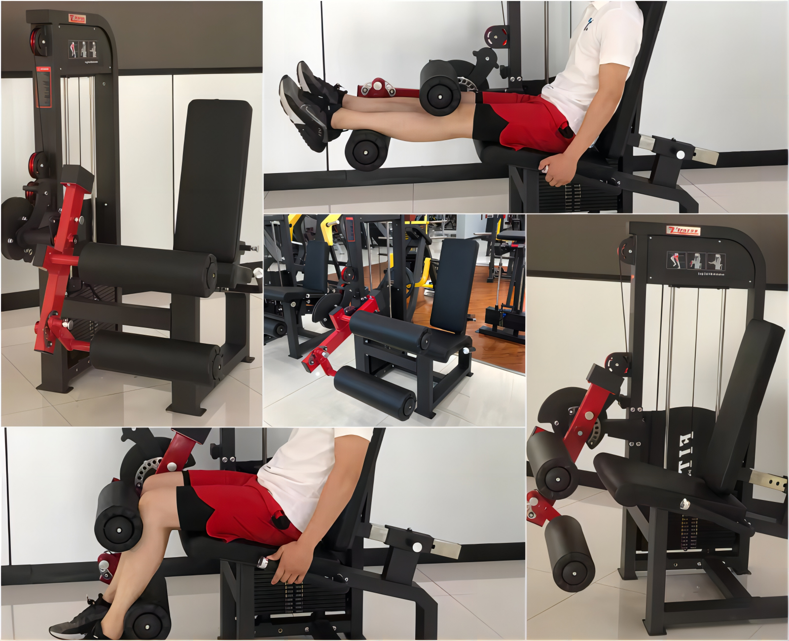 Gym Machines The Seated Leg Curl Machine