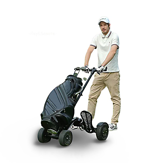 Esgolf 1388: The Best 2-in-1 Single Golf Cart & Trolley