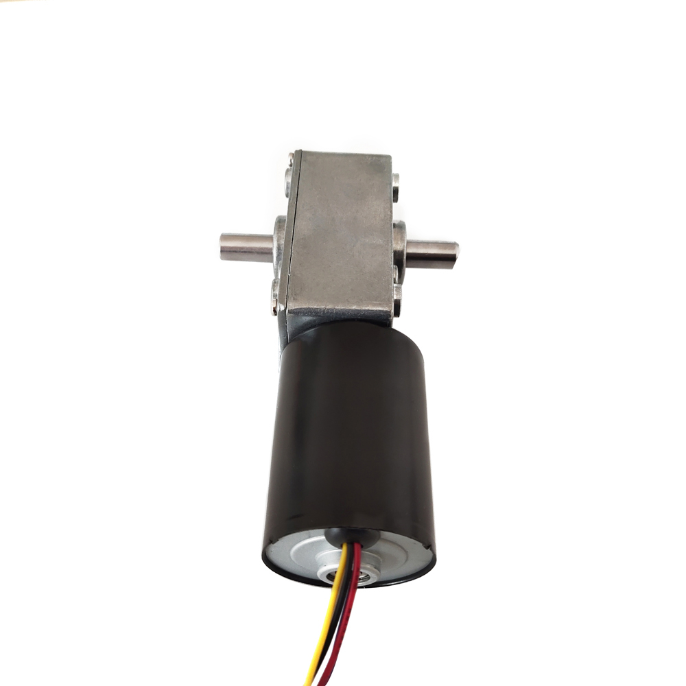 dual shaft motor - Bringsmart
